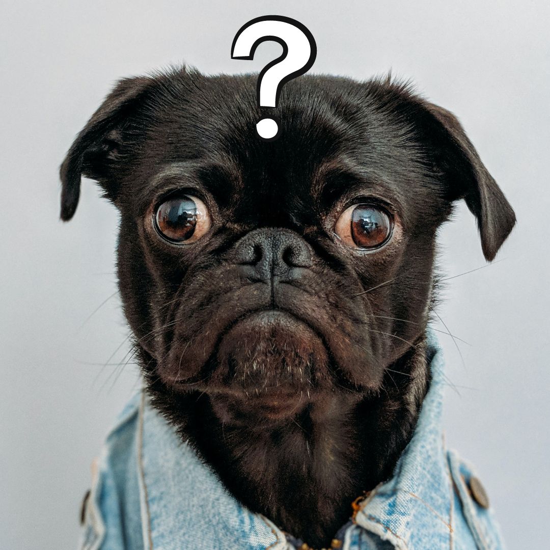 How does the PIXIE system work wirelessly? - PIXIE Partners